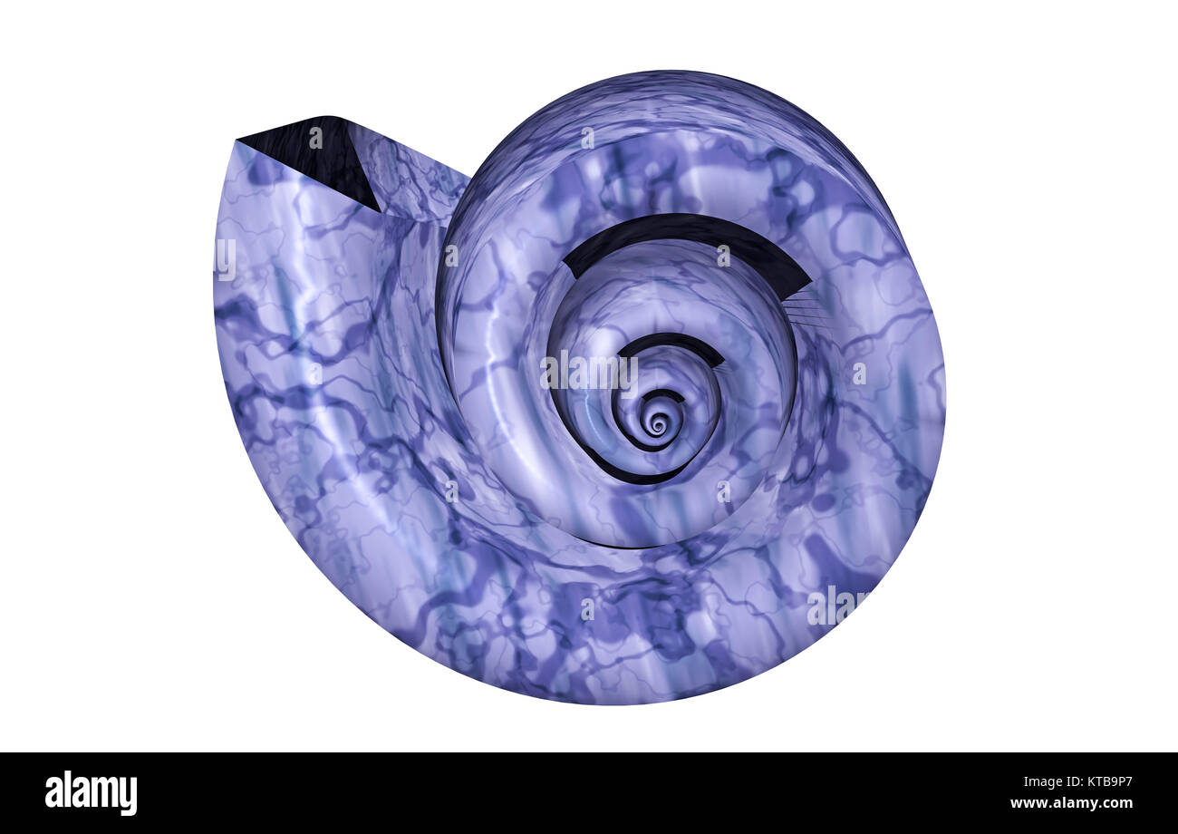 snail house vacated Stock Photo - Alamy