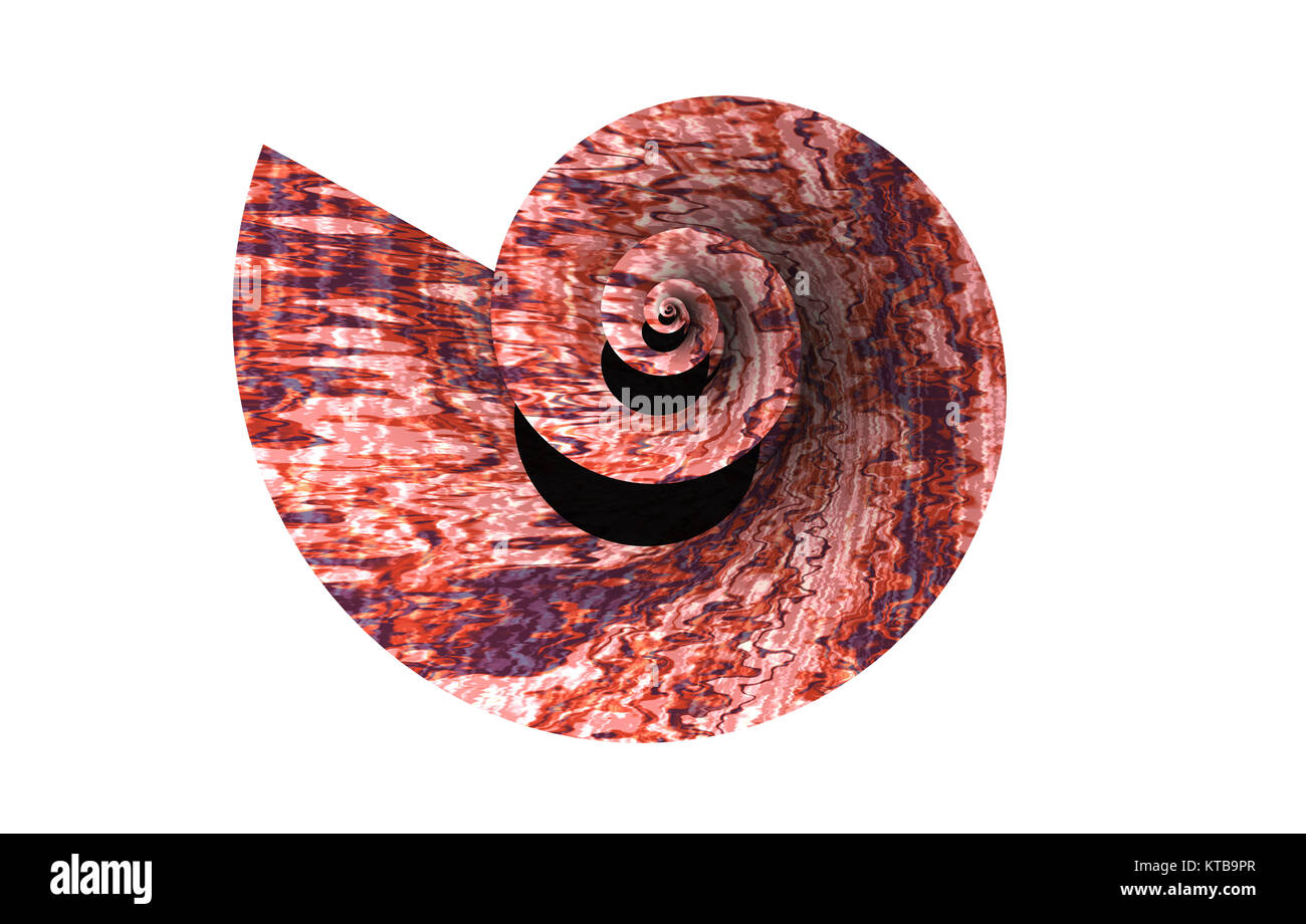 snail house vacated Stock Photo - Alamy