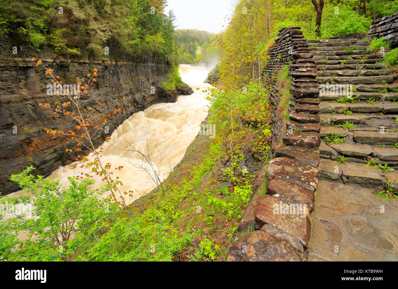 Footbridge Trail, Genesee, River, Letchworth State Park, New York, USA ...