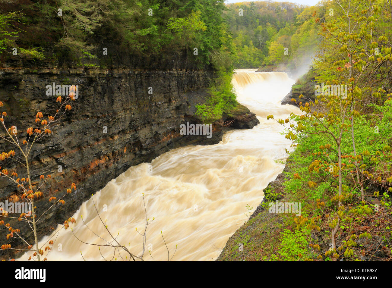 Footbridge Trail, Genesee, River, Letchworth State Park, New York, USA ...