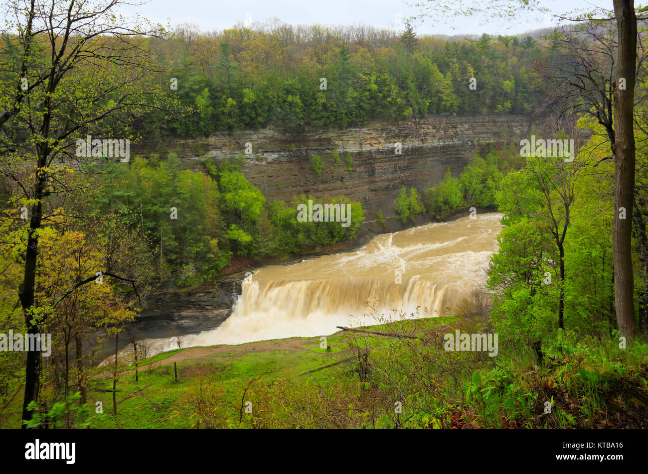 Lower Falls, Genesee, River, Letchworth State Park, New York, USA Stock ...