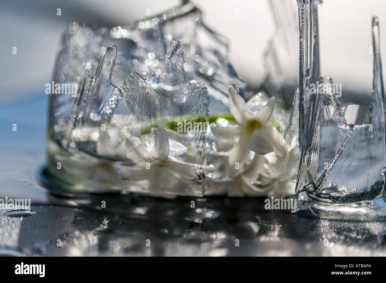 flowers in ice Stock Photo - Alamy