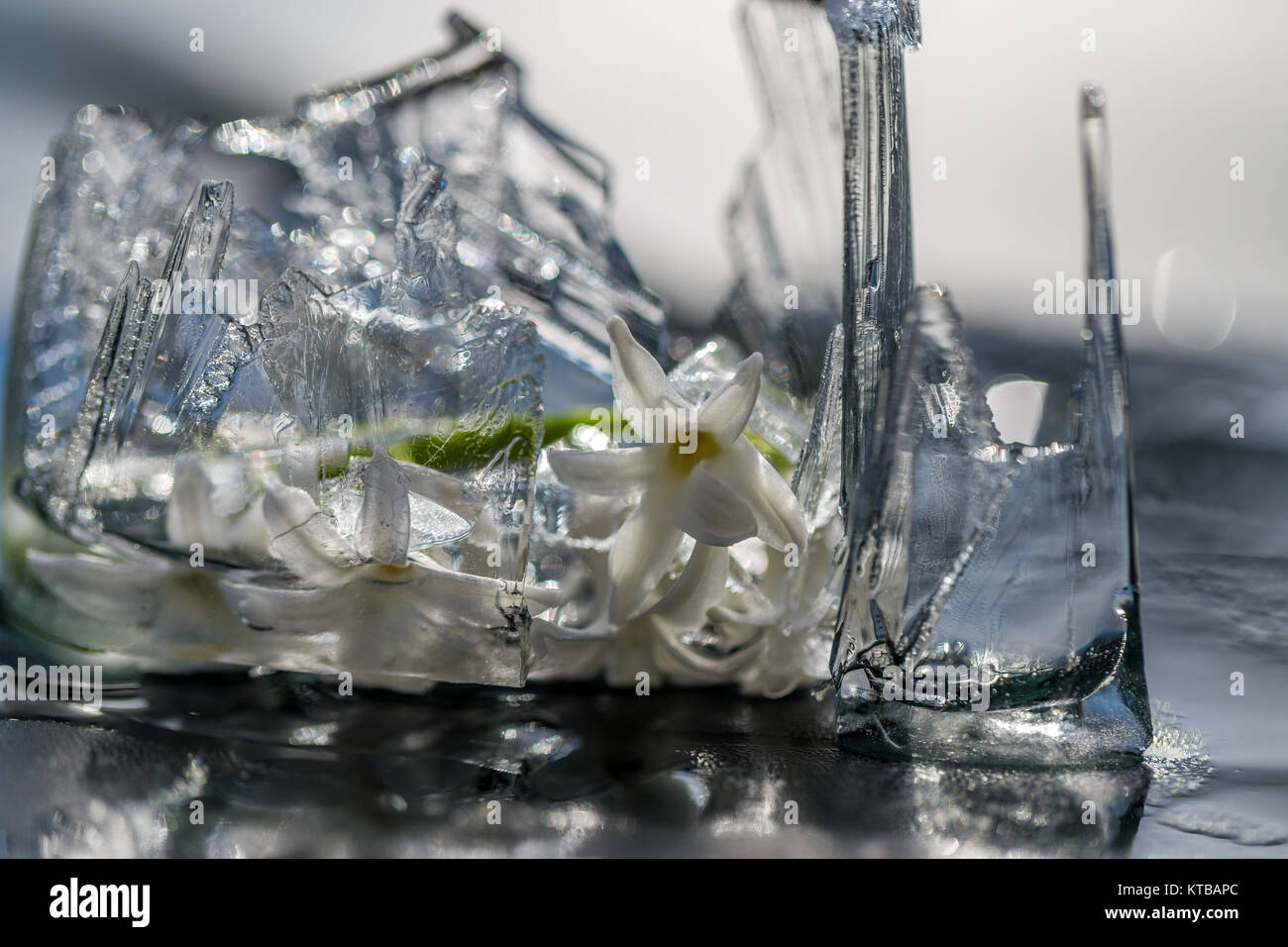 flowers in ice Stock Photo - Alamy