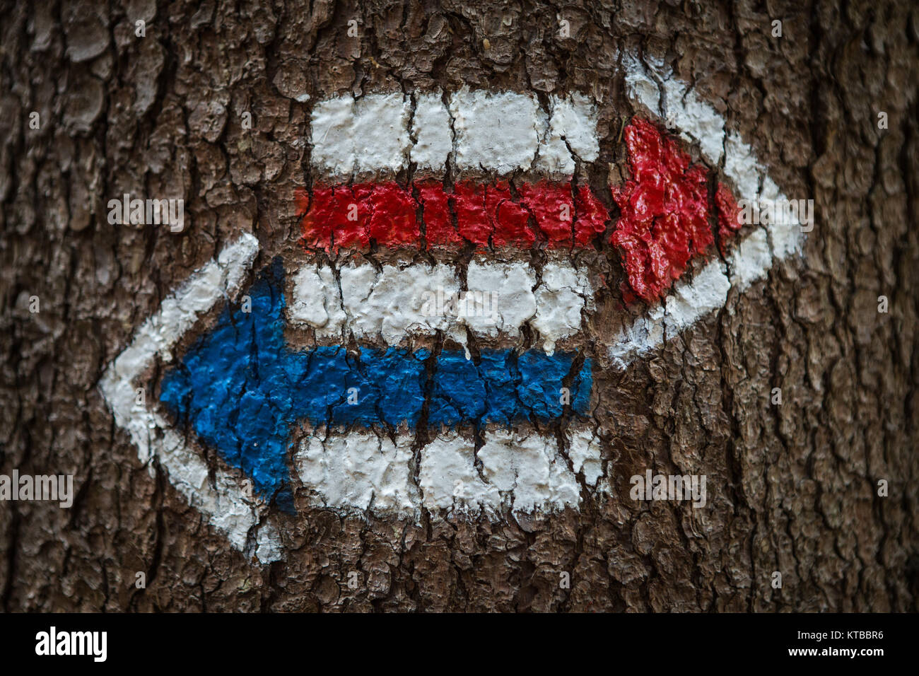 Arrow sign signs hi-res stock photography and images - Alamy