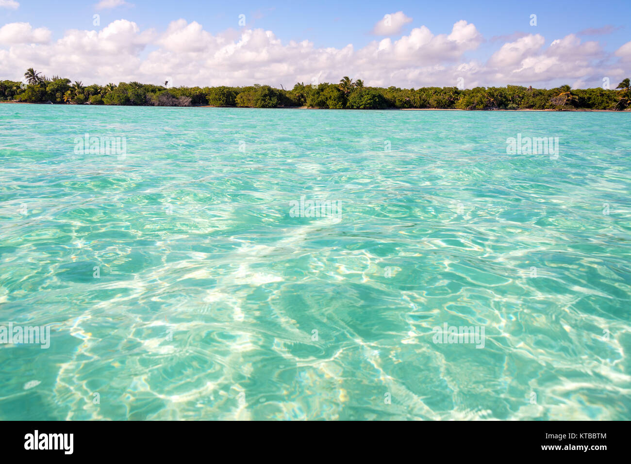 Stunning Clear Caribbean Sea in Mexico Stock Photo - Alamy