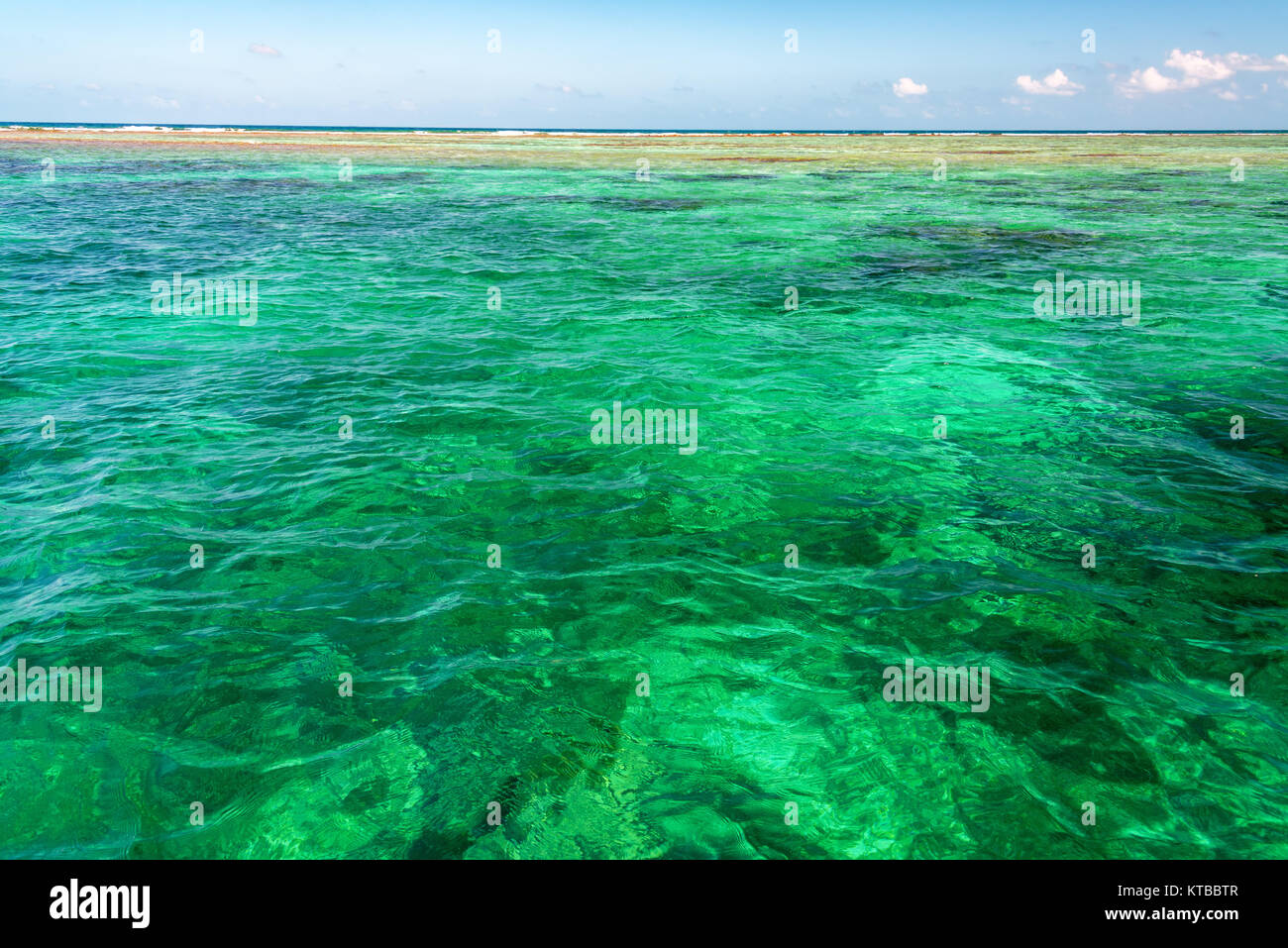 Beautiful Caribbean Water Stock Photo - Alamy