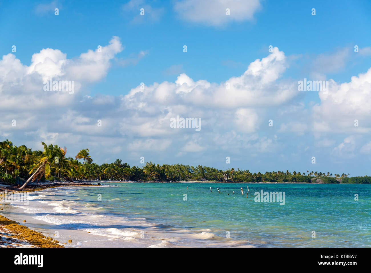 Punta allen tulum hi-res stock photography and images - Alamy
