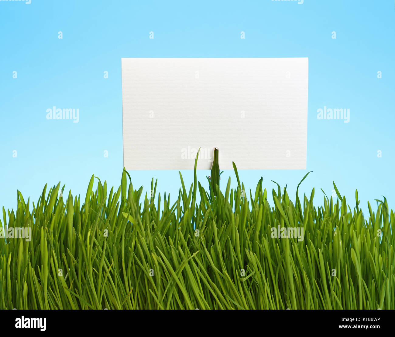 White paper sign in green grass over blue sky Stock Photo - Alamy