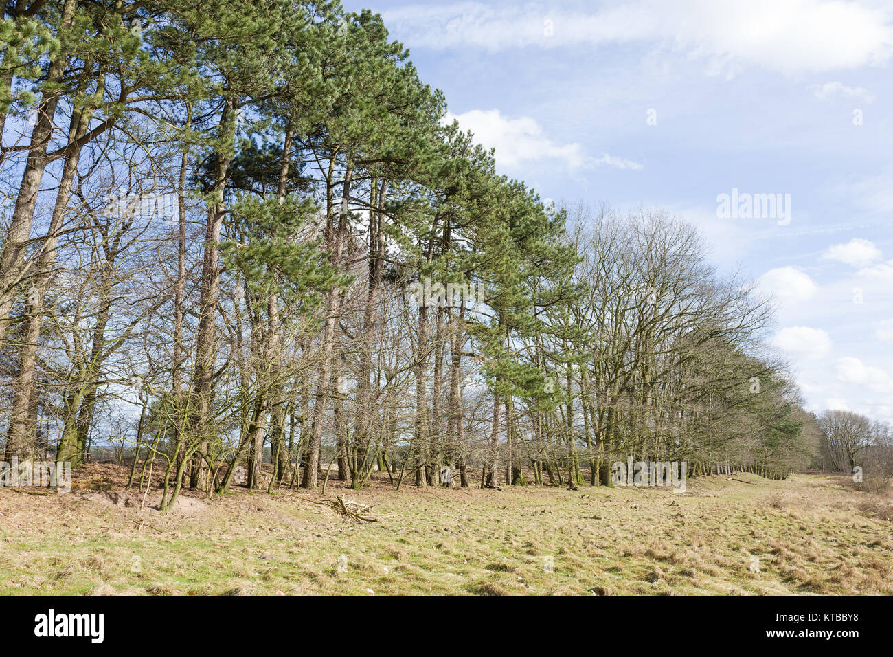 Thick row hi-res stock photography and images - Alamy