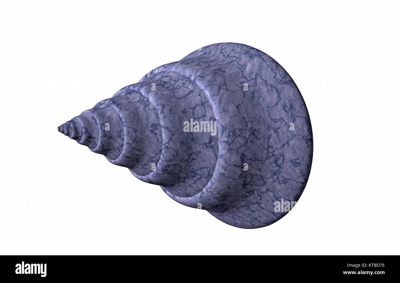Snail turns hi-res stock photography and images - Alamy
