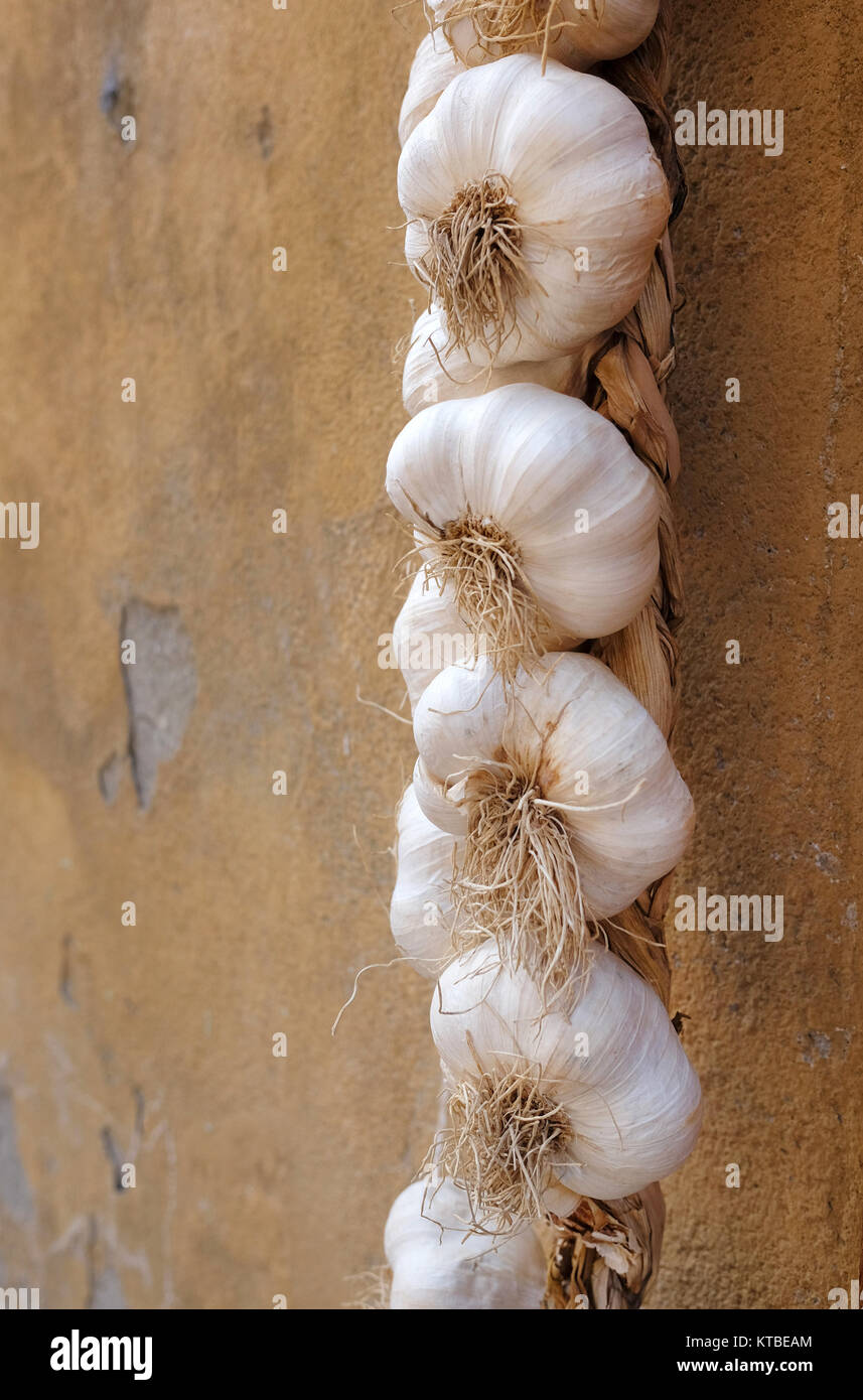 String of garlic bulbs Stock Photo - Alamy