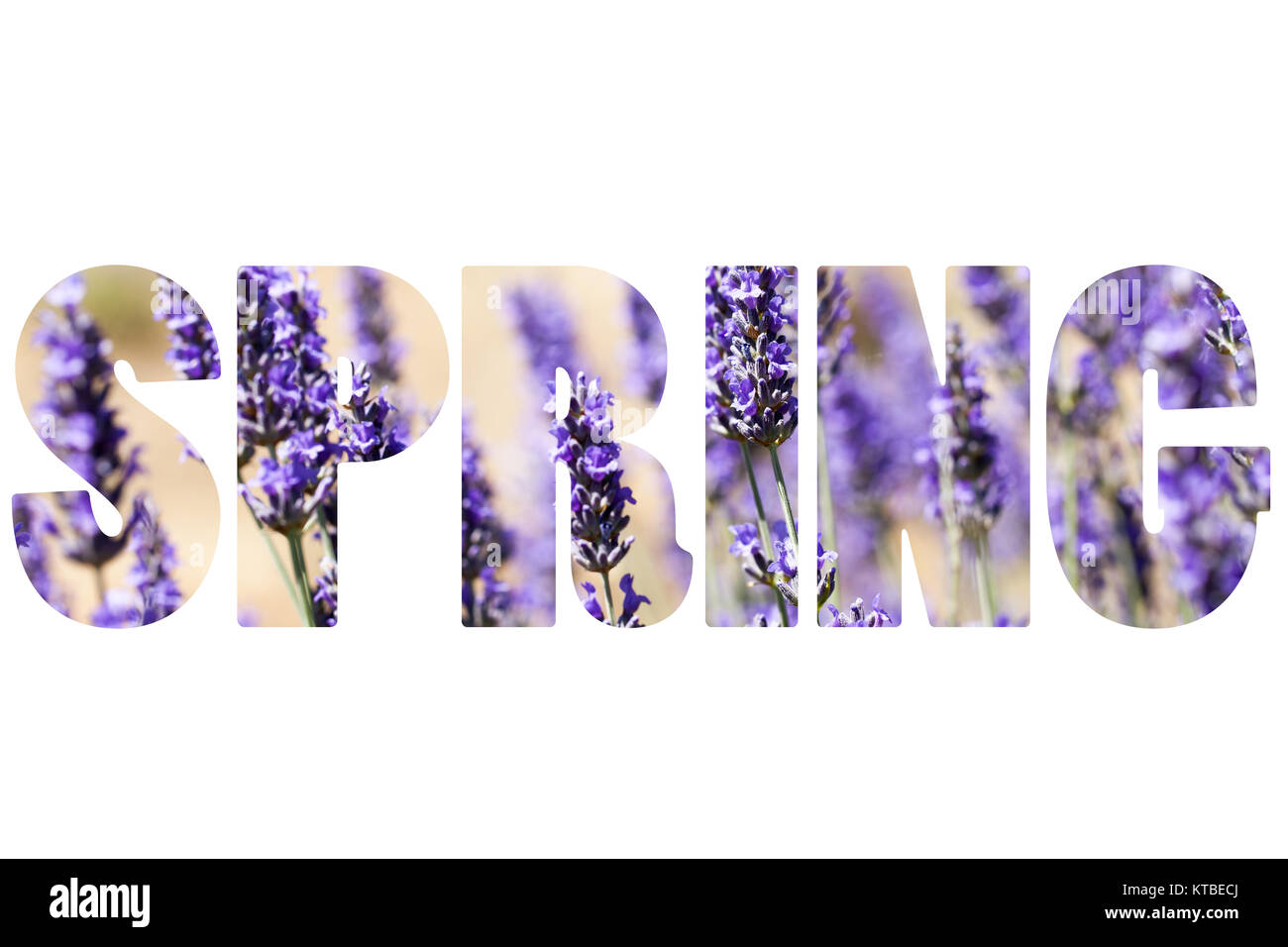 Word SPRING over cherry blossom Stock Photo - Alamy