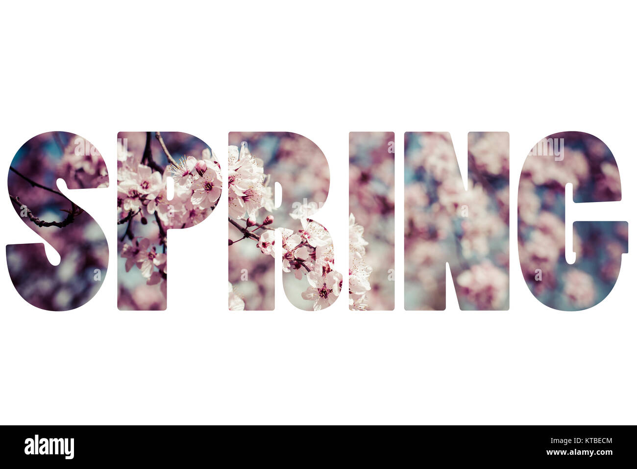Word SPRING over cherry blossom Stock Photo - Alamy