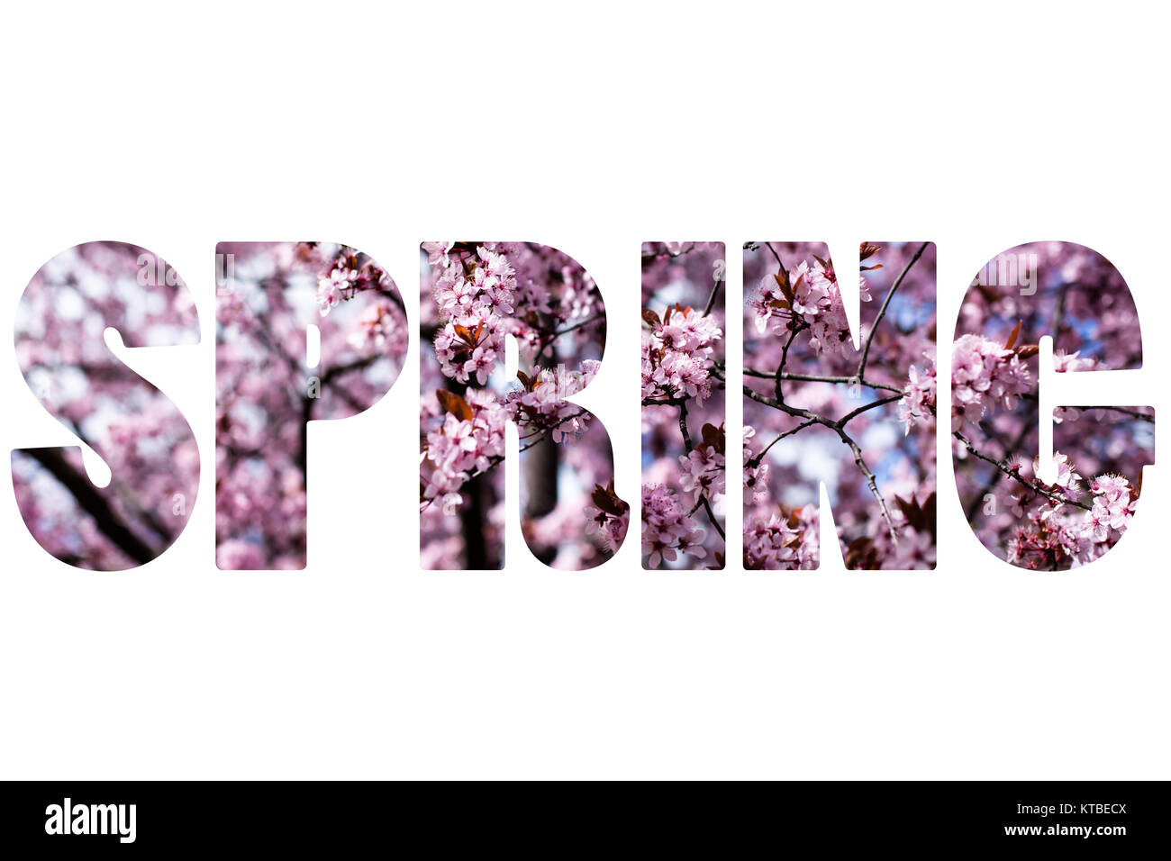 Word SPRING over cherry blossom Stock Photo - Alamy