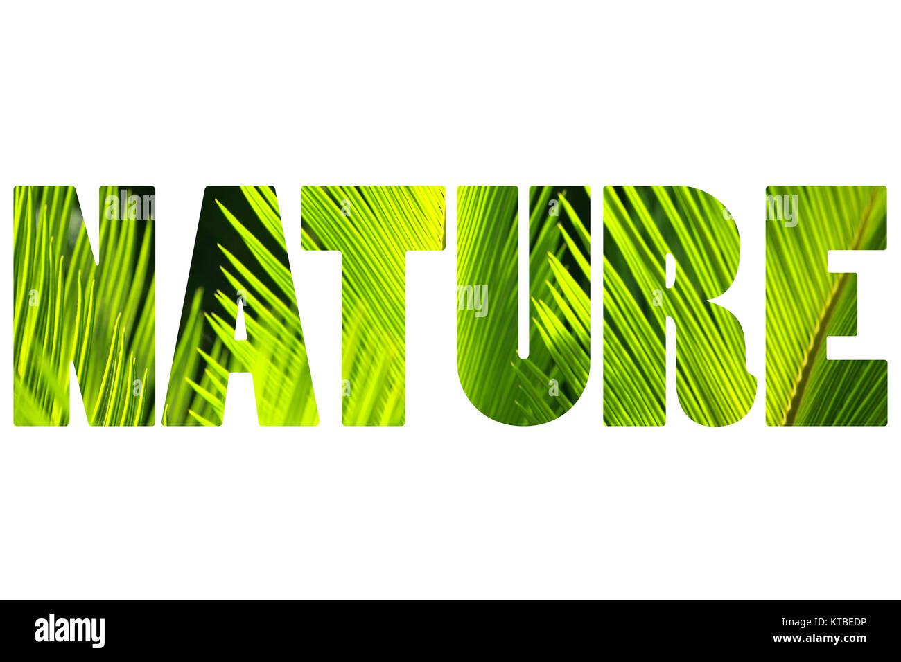 Word NATURE over palm leaves Stock Photo - Alamy