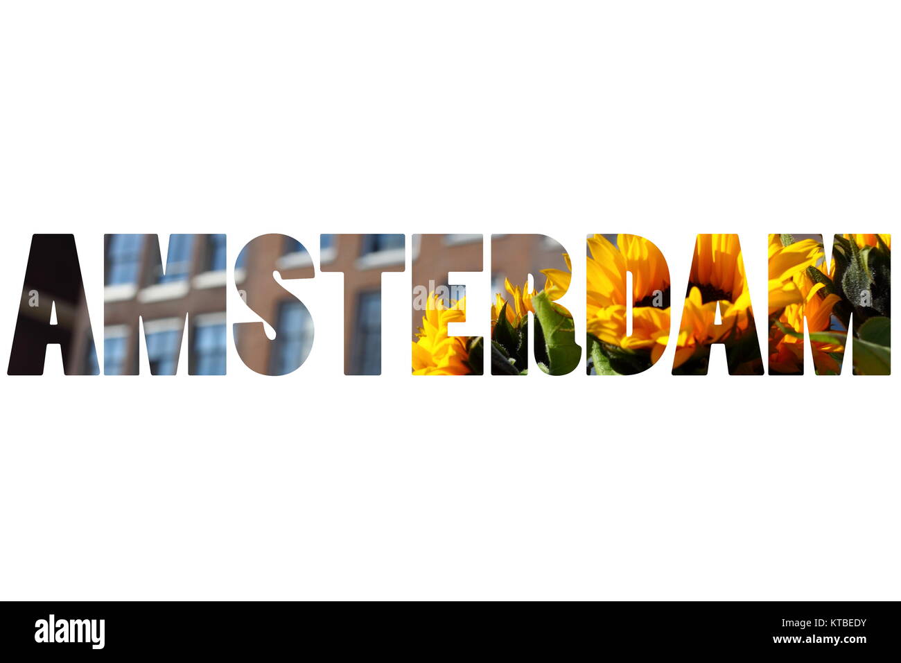 Word AMSTERDAM House architecture over yellow sunflower Stock Photo - Alamy