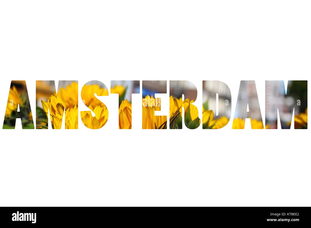 Word AMSTERDAM House architecture over yellow sunflower Stock Photo - Alamy