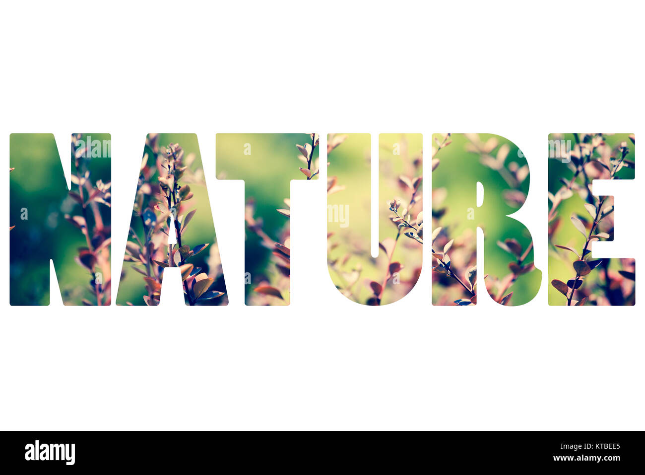 Word NATURE over green leaves Stock Photo - Alamy