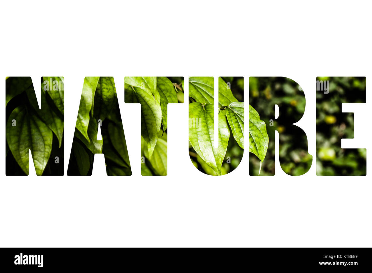 Word NATURE over green leaves Stock Photo - Alamy