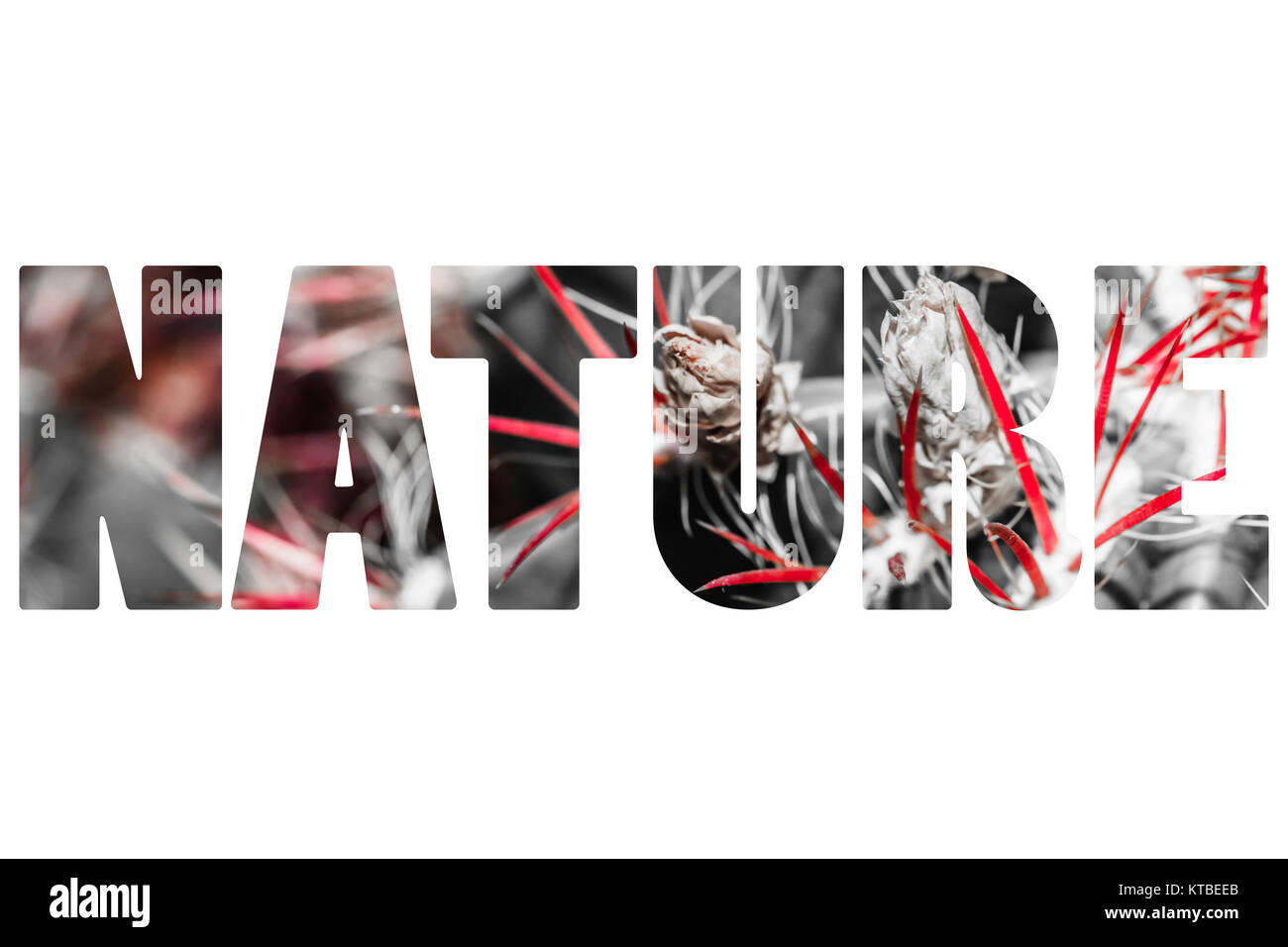 Word NATURE over cactus plant Stock Photo - Alamy