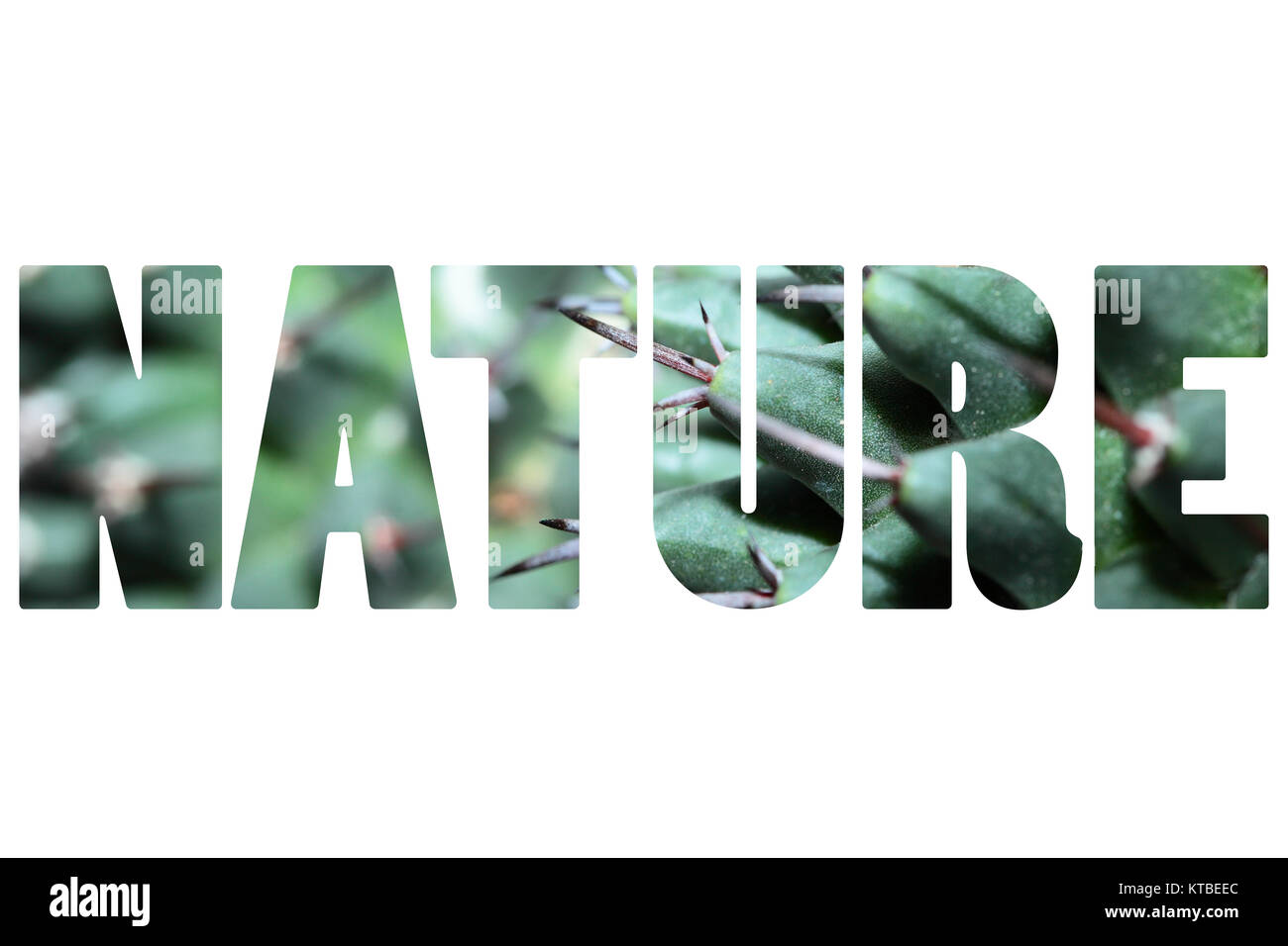 Word NATURE over cactus plant Stock Photo - Alamy