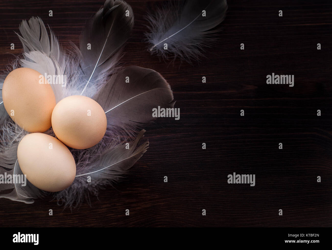 Three raw chicken yellow eggs among feathers Stock Photo - Alamy