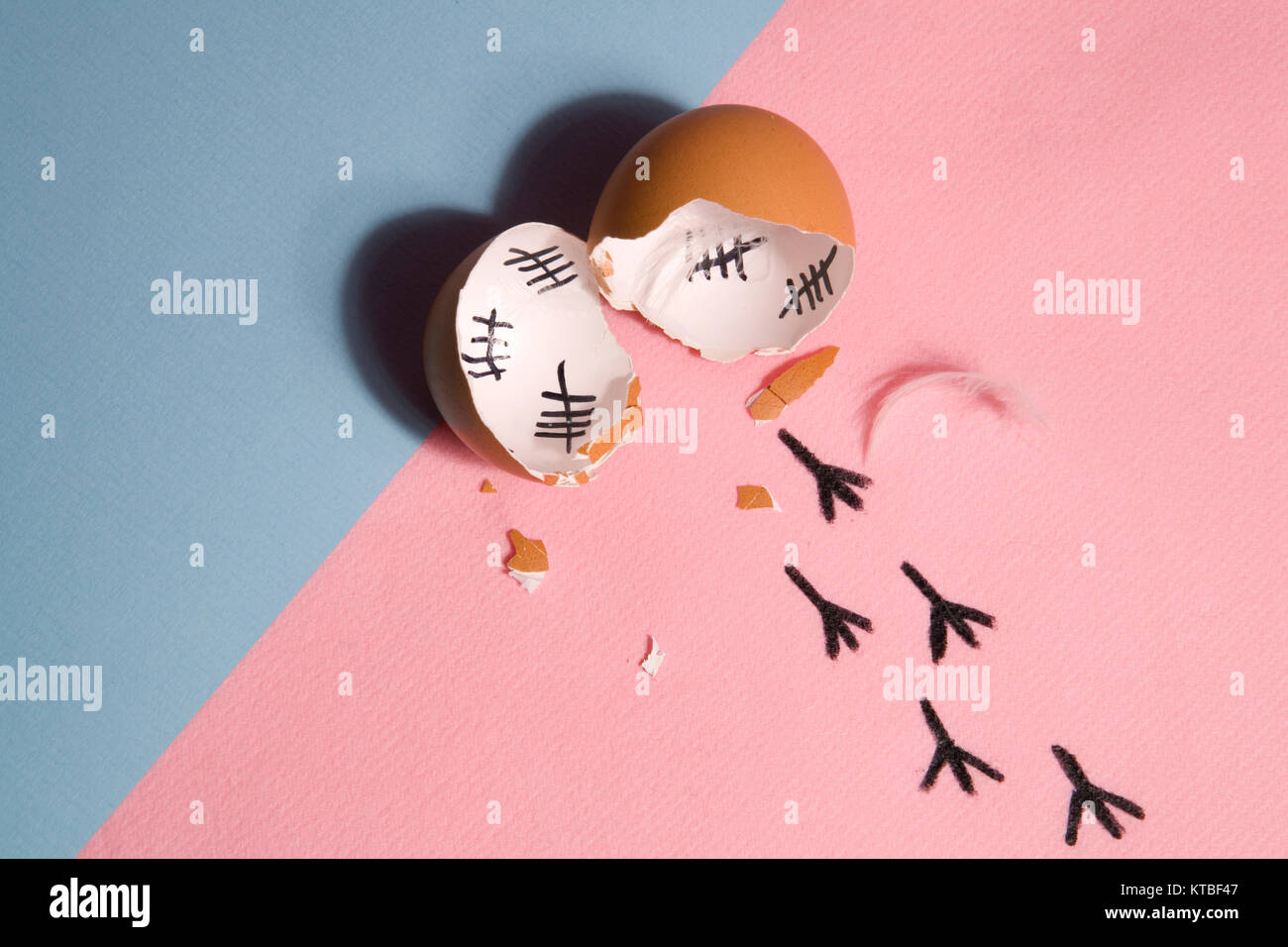 escape from egg Stock Photo - Alamy