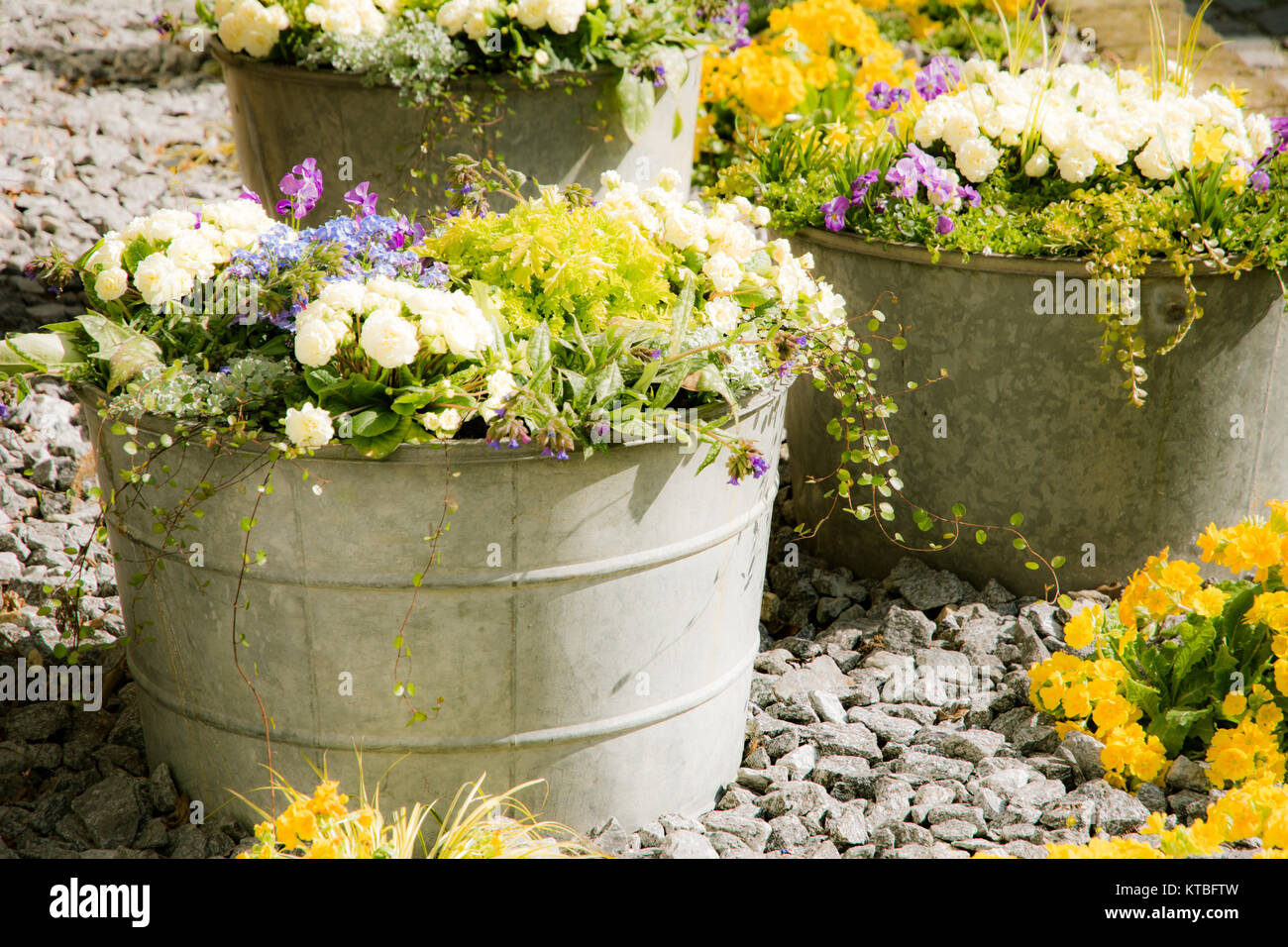 Vintage tin buckets filled with spring flowers Stock Photo - Alamy