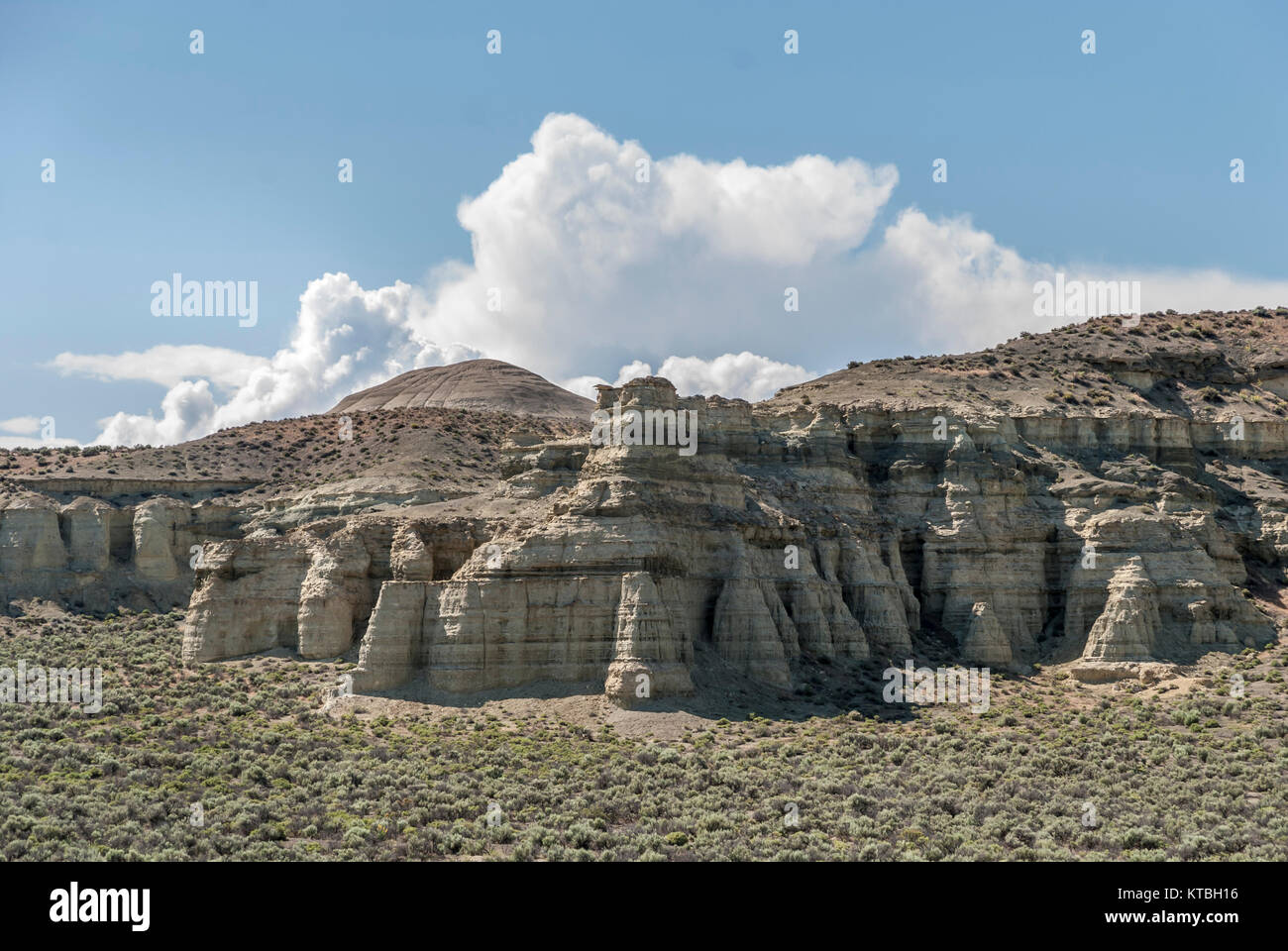 Pillars of Rome sandstone rock formations in the Oregon Outback Stock ...