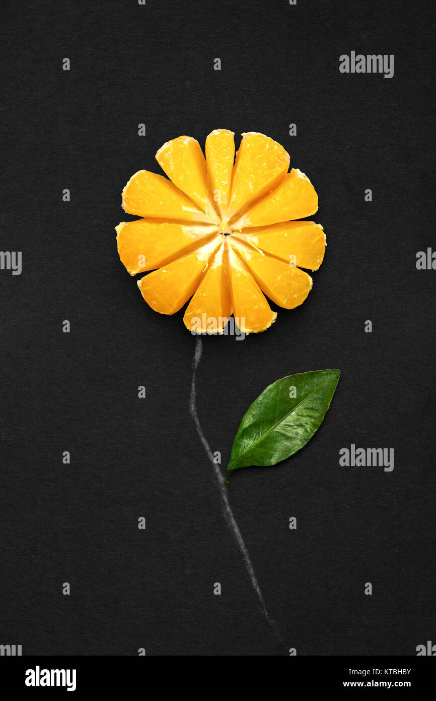 Tangerine in bloom Stock Photo - Alamy