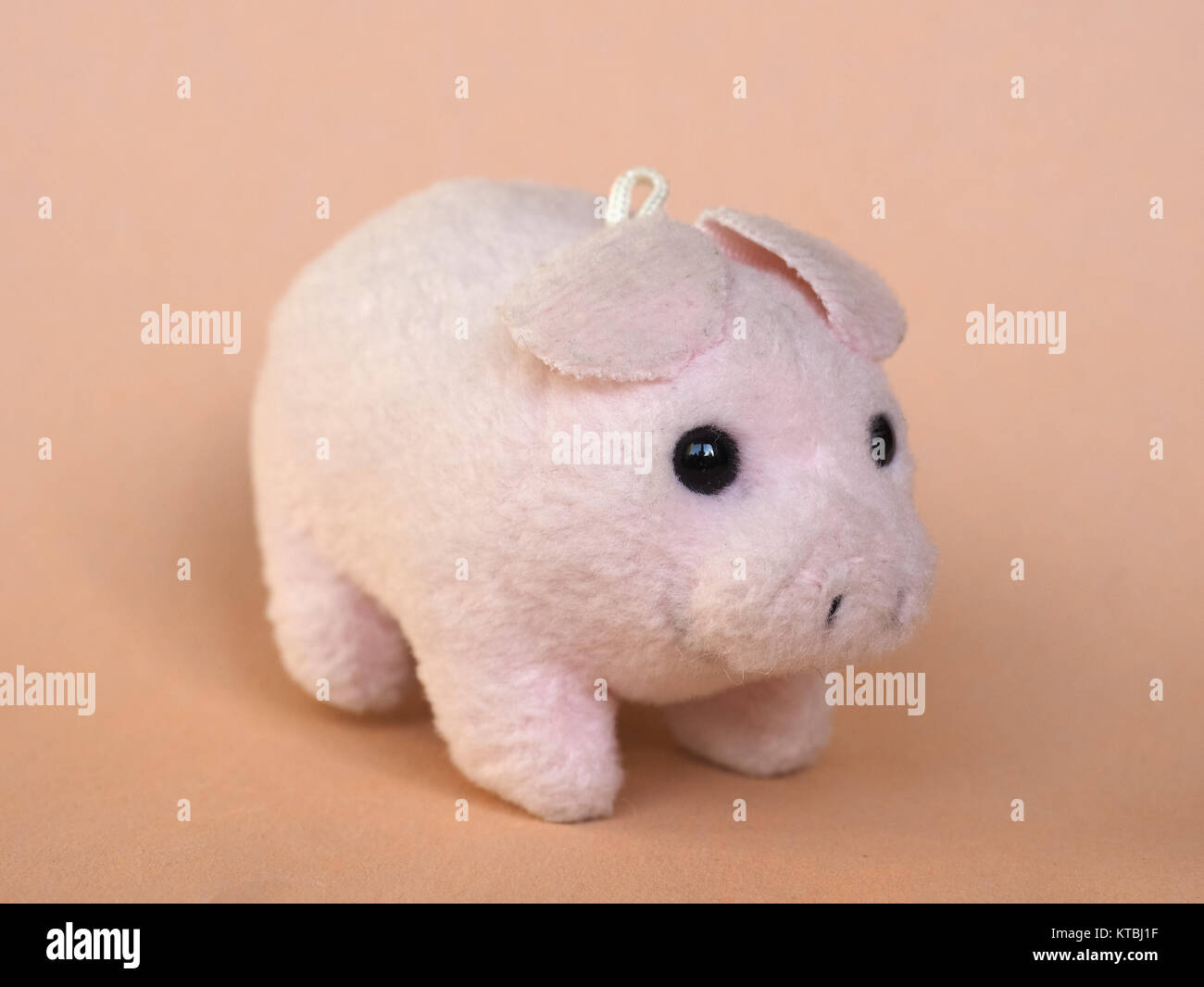 Animal plays toy hi-res stock photography and images - Alamy