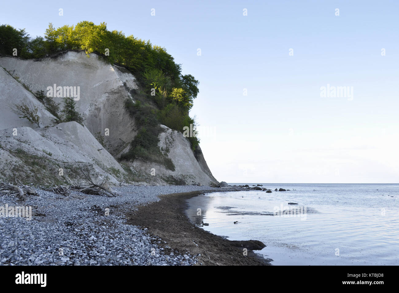 Trees on chalk cliffs hi-res stock photography and images - Alamy