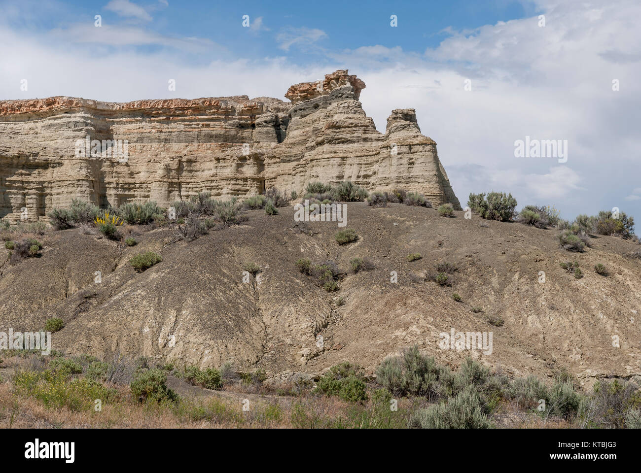 Pillars of Rome sandstone rock formations in the Oregon Outback Stock ...
