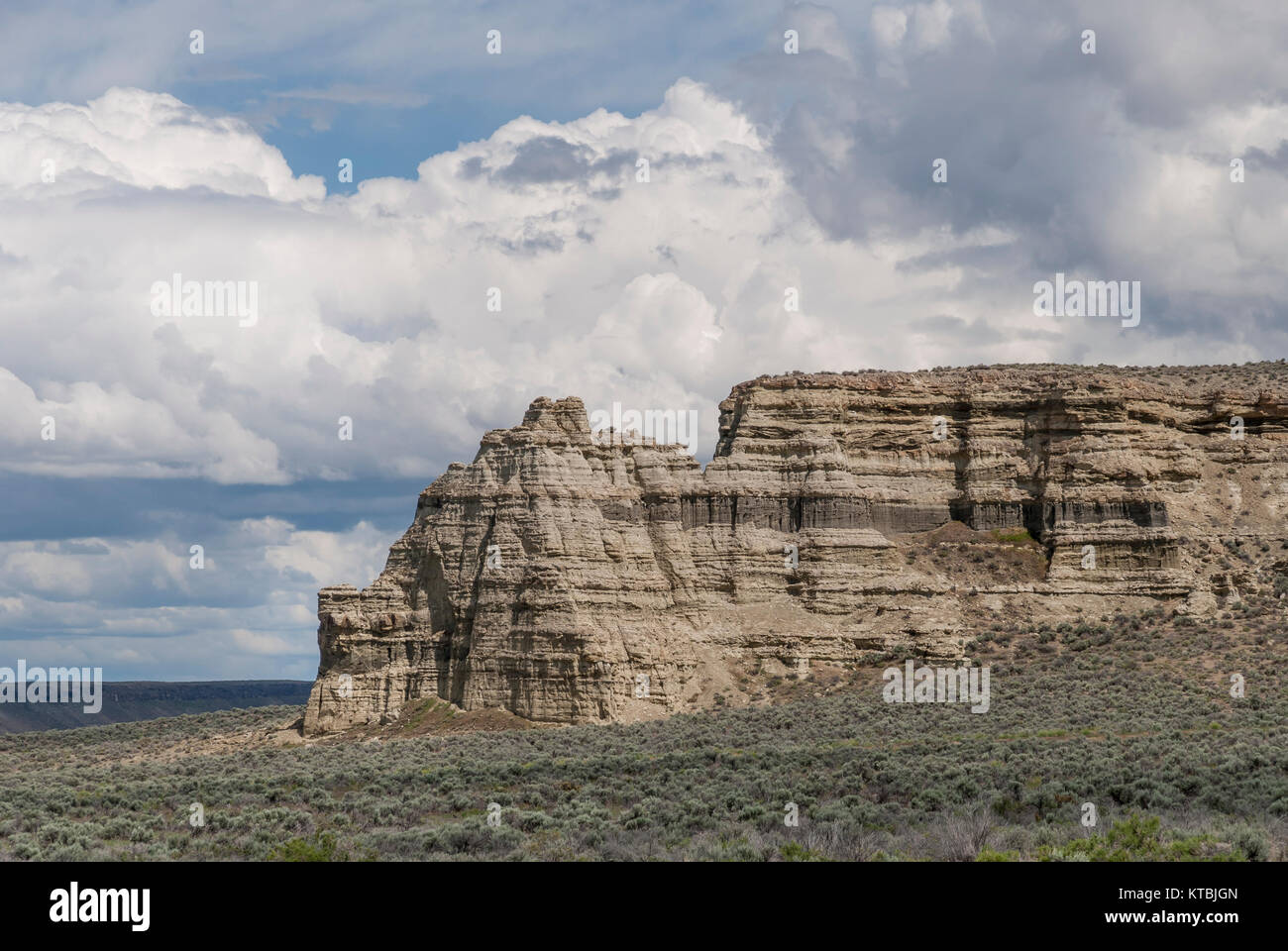 Pillars of Rome sandstone rock formations in the Oregon Outback Stock ...