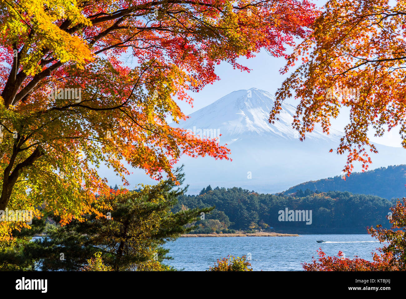 Mount Fuji in Autumn season Stock Photo - Alamy