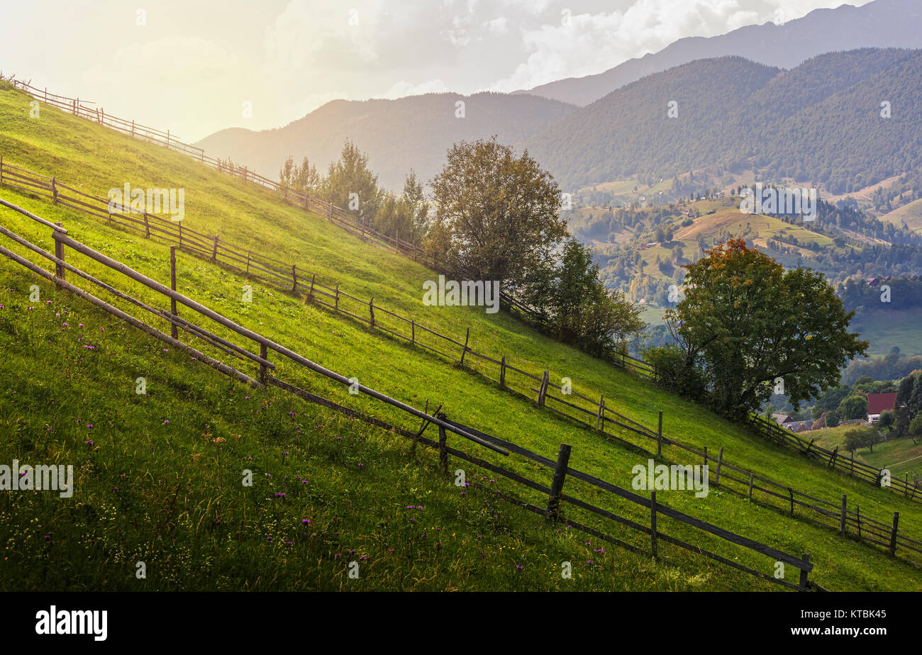 Countryside landscape with rustic wooden fences across green pastures ...