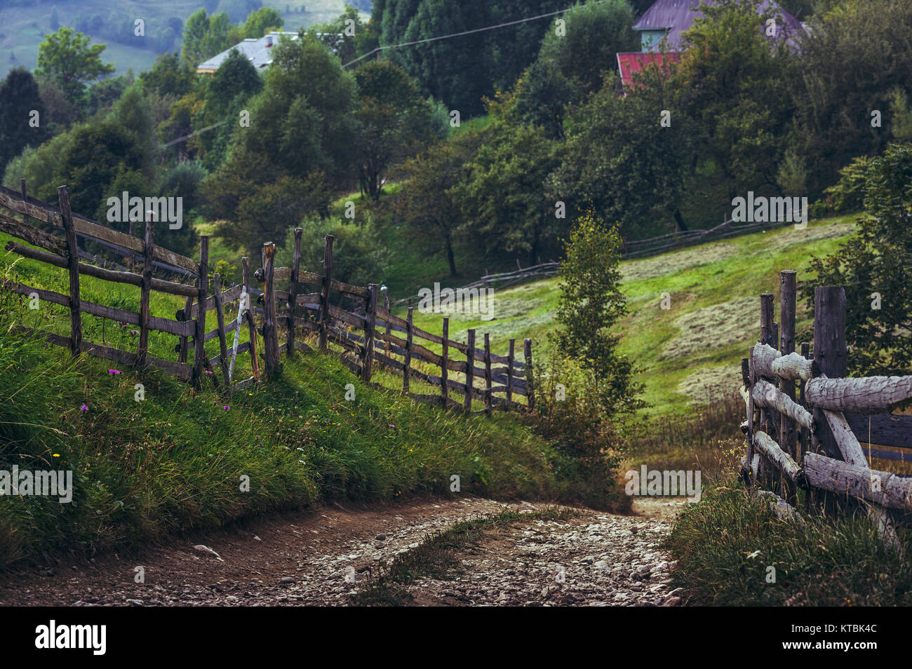 Country road and rustic wooden fences in a traditional Transylvanian ...