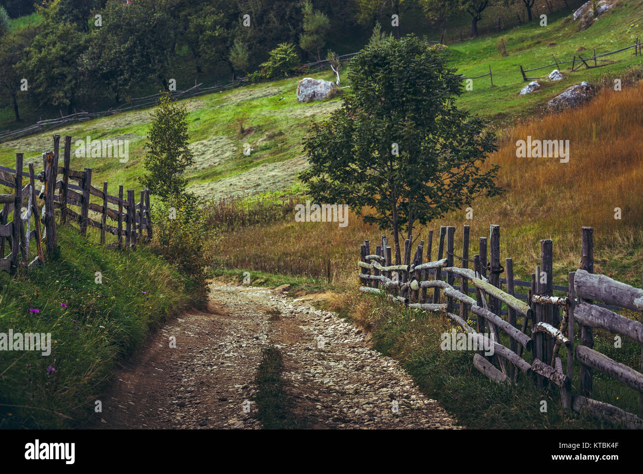 Country road and rustic wooden fences in a traditional Transylvanian ...