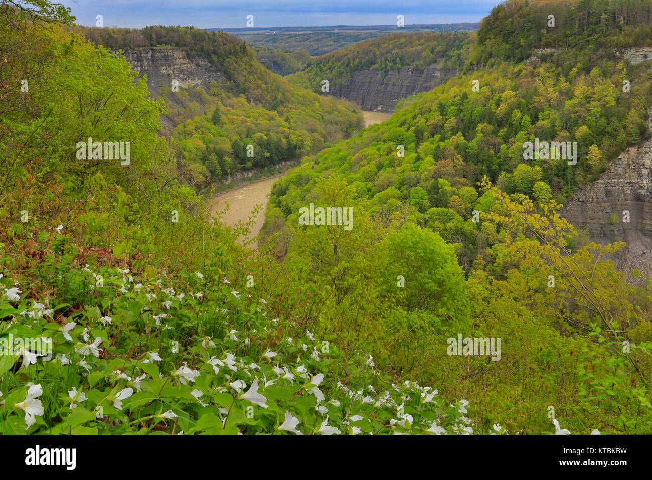 Great Bend Overlook, Genesee River, Letchworth State Park, Castile, New York, USA Stock Photo ...