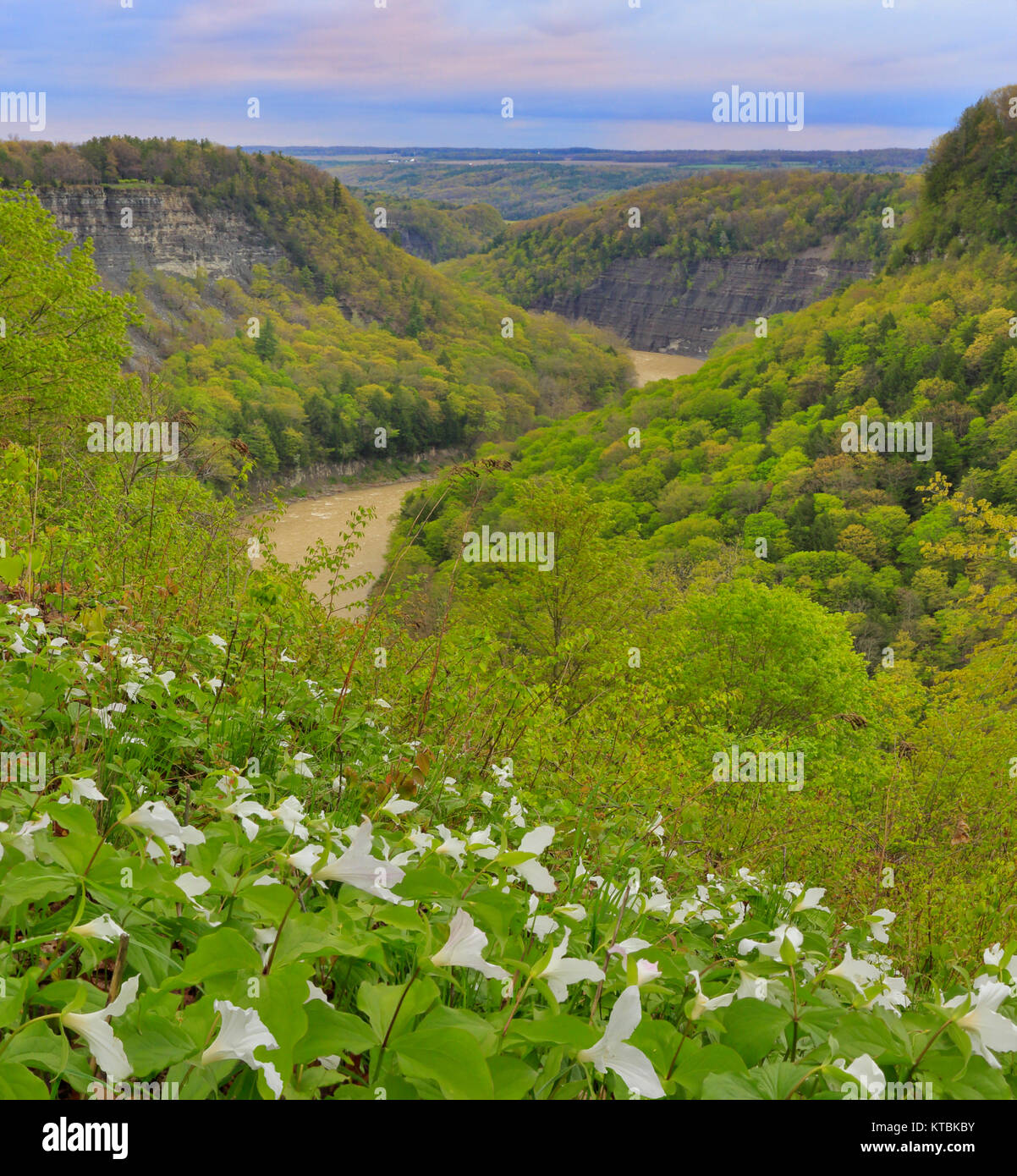 Great Bend Overlook, Genesee River, Letchworth State Park, Castile, New York, USA Stock Photo ...