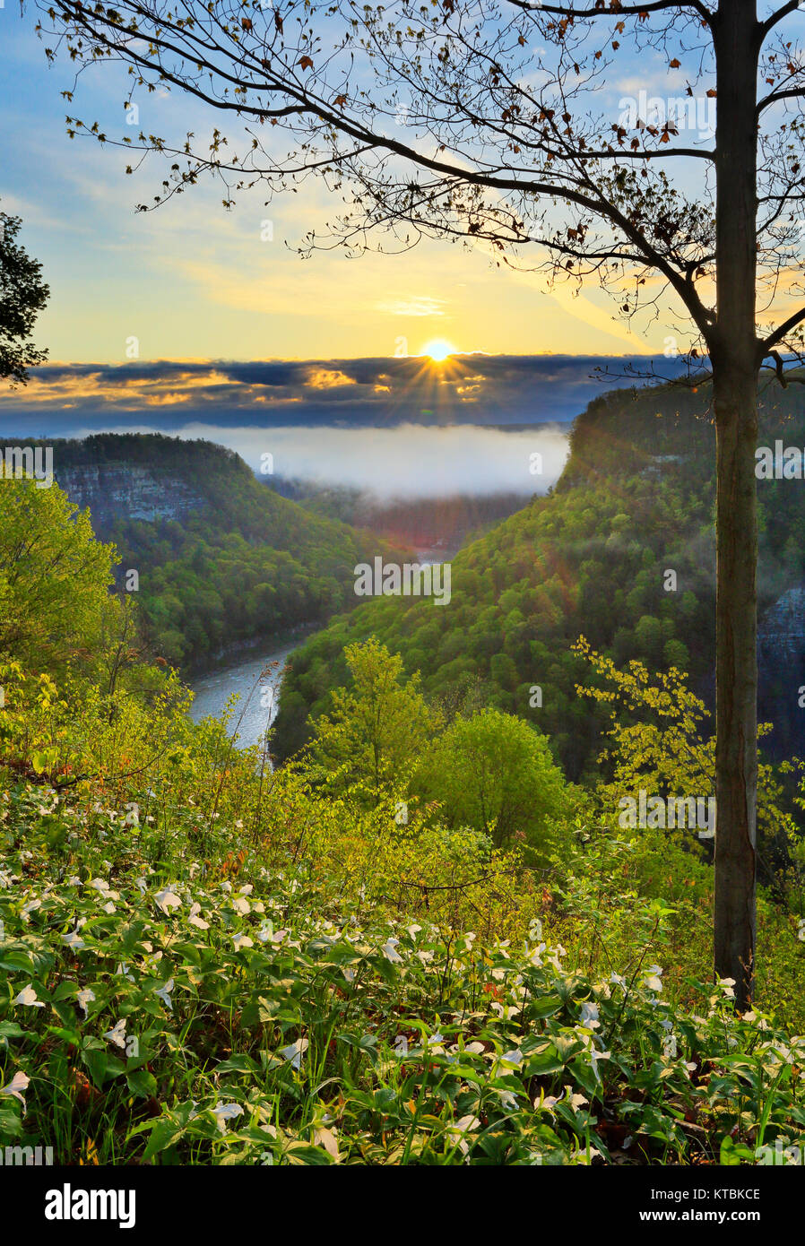 Great Bend Overlook, Genesee River, Letchworth State Park, Castile, New York, USA Stock Photo ...