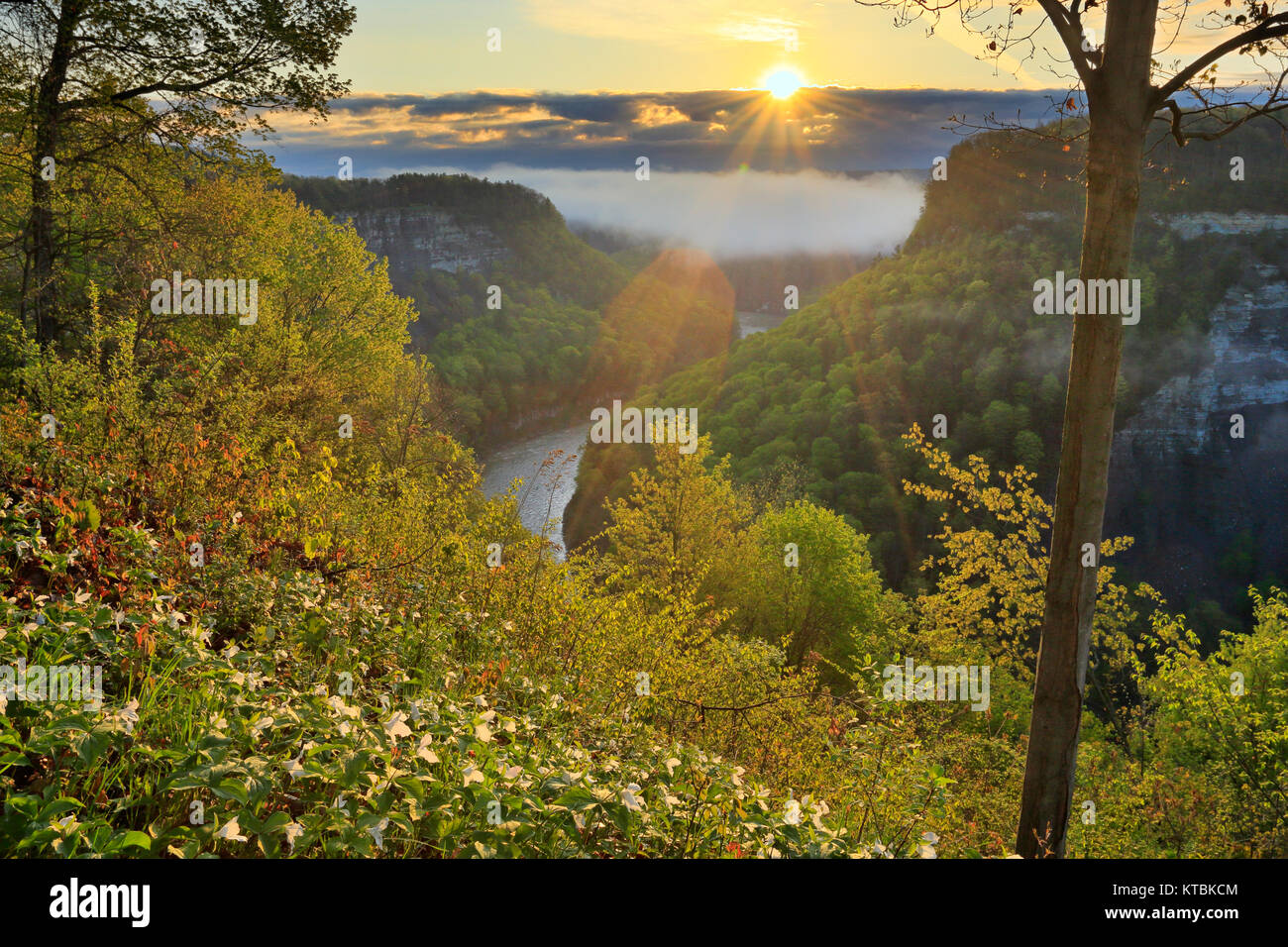 Letchworth state park great overlook hi-res stock photography and images - Alamy