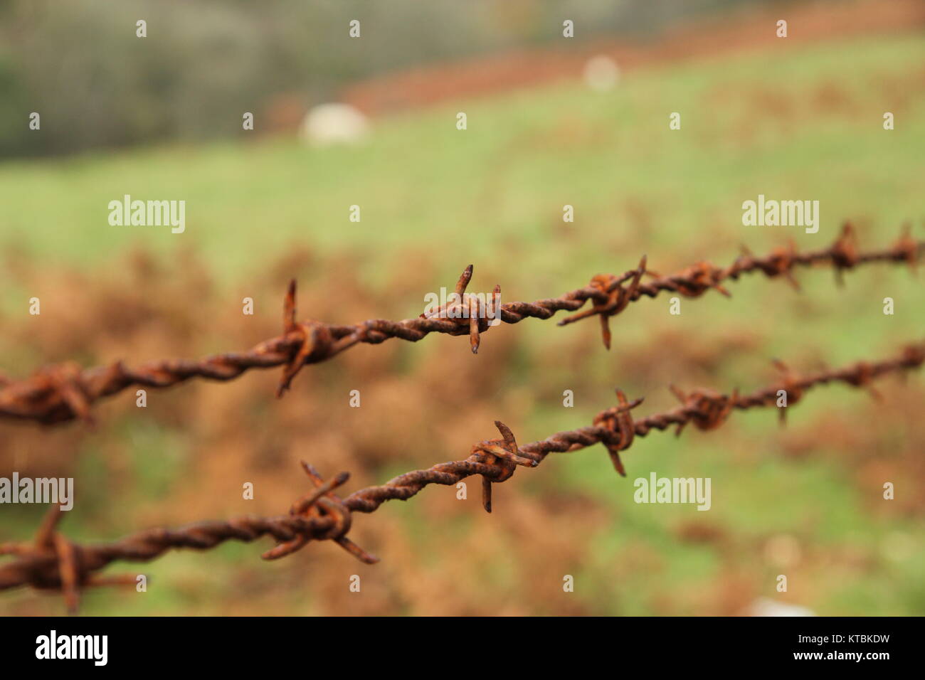 Rusty barbed wire fence Stock Photo - Alamy