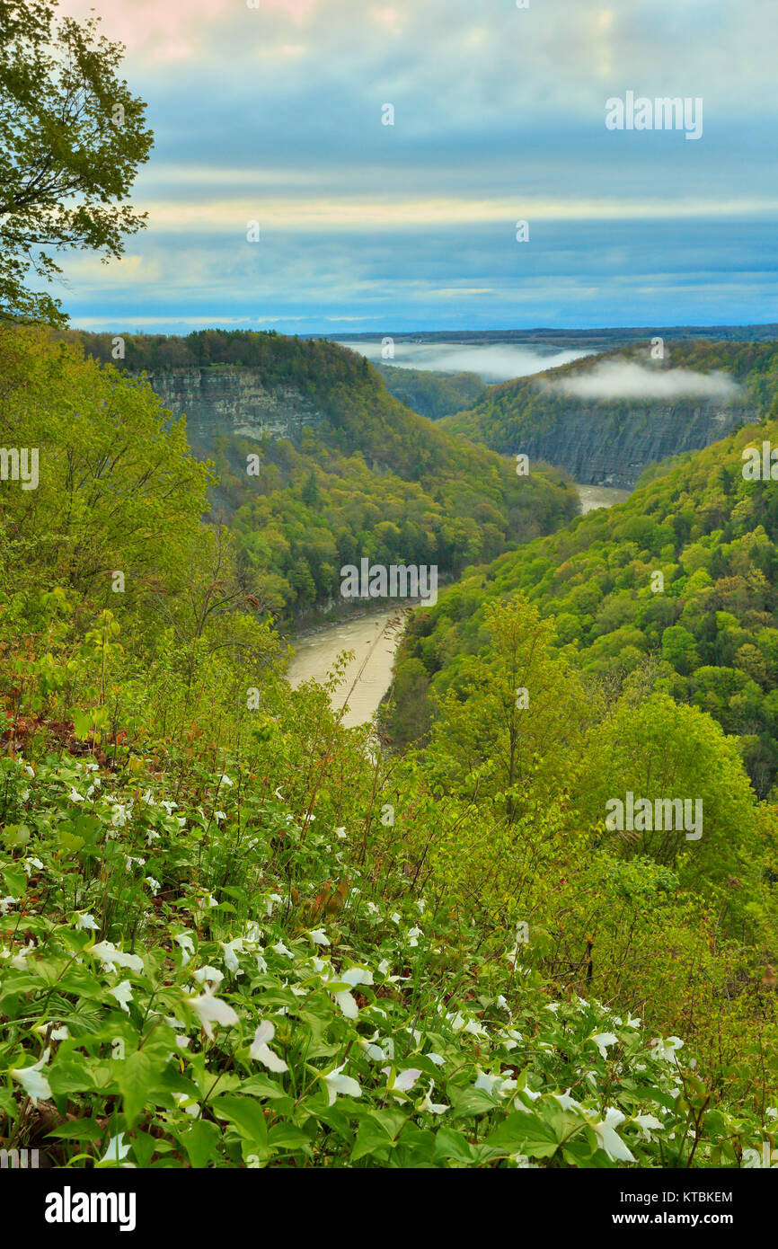 Great Bend Overlook, Genesee River, Letchworth State Park, Castile, New York, USA Stock Photo ...