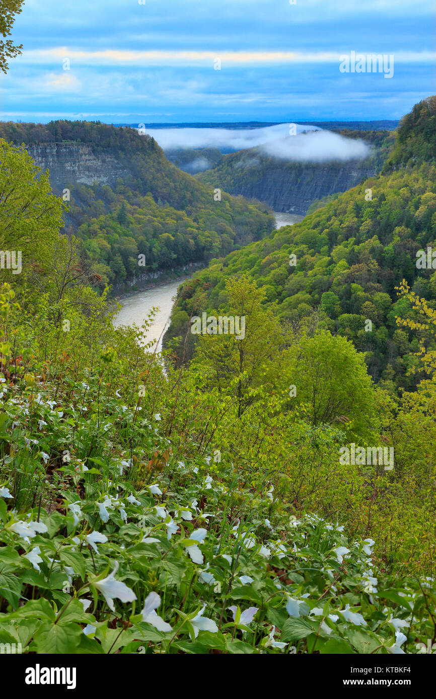 Great Bend Overlook, Genesee River, Letchworth State Park, Castile, New York, USA Stock Photo ...