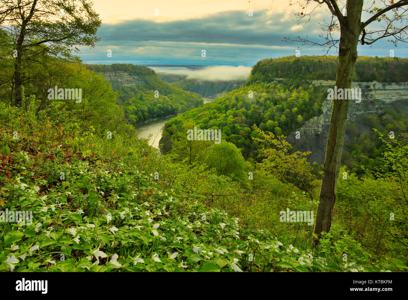 Letchworth gorge bend hi-res stock photography and images - Alamy