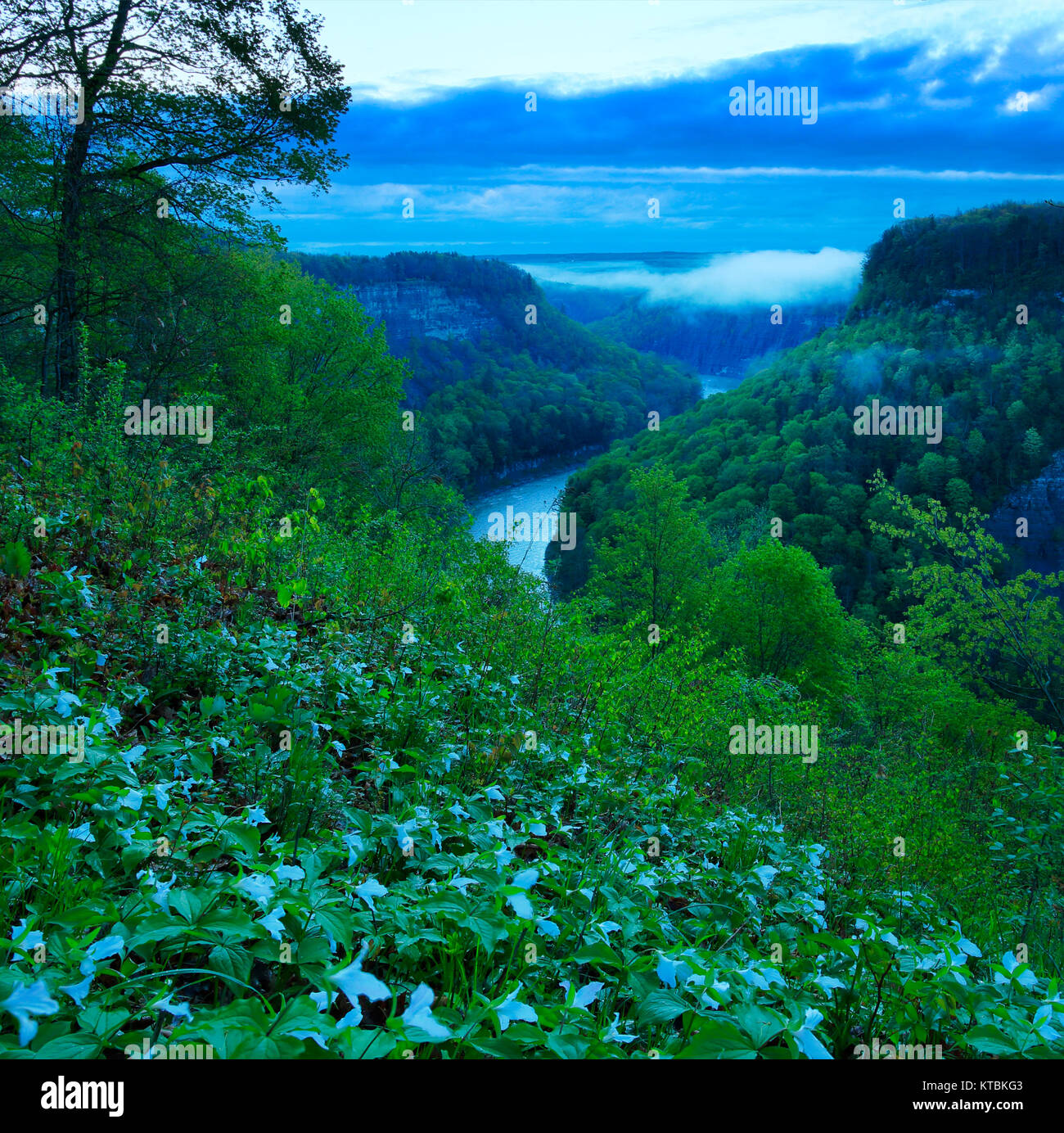 Letchworth gorge bend hi-res stock photography and images - Alamy