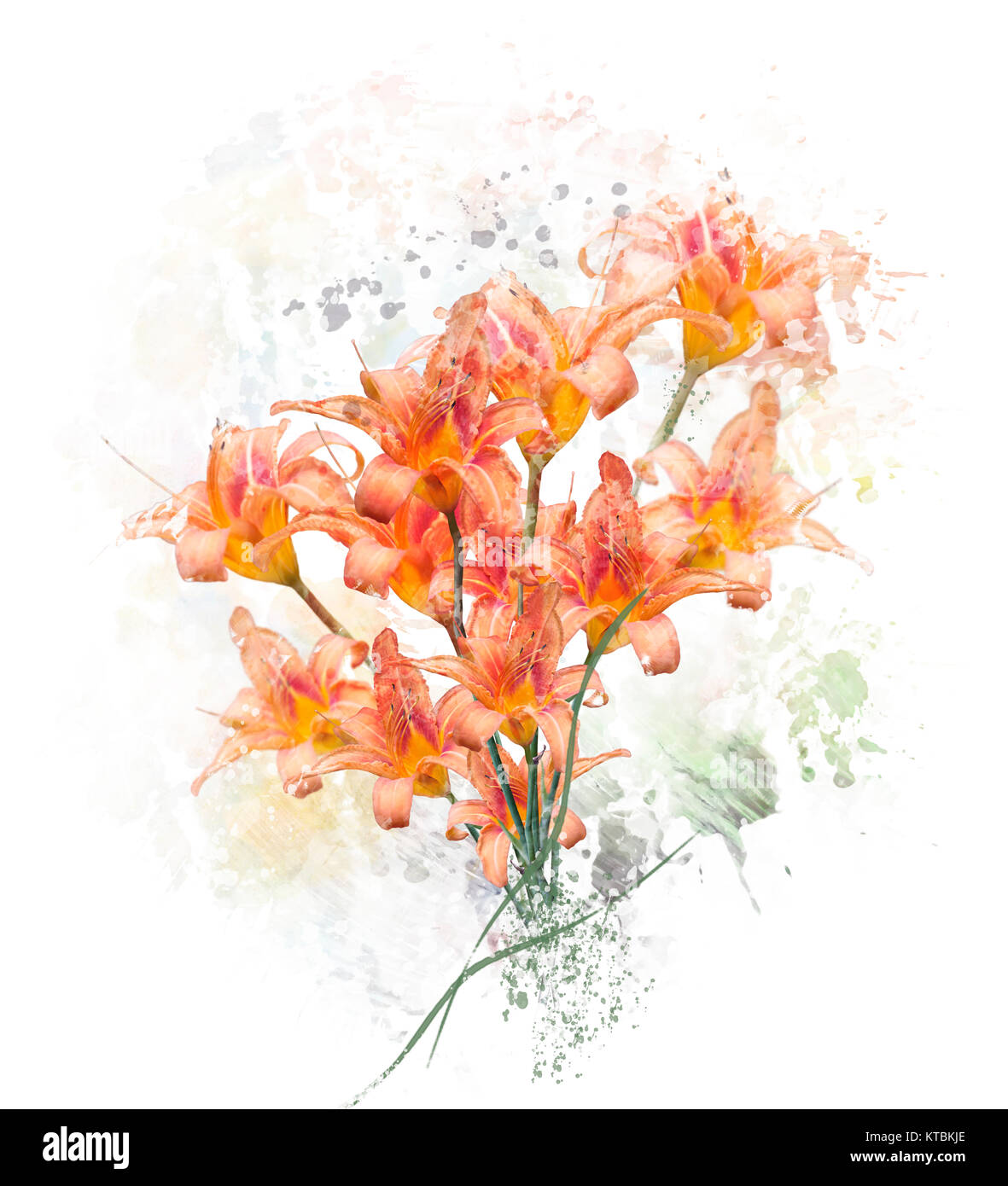 Orange Lily Flowers Watercolor Stock Photo - Alamy