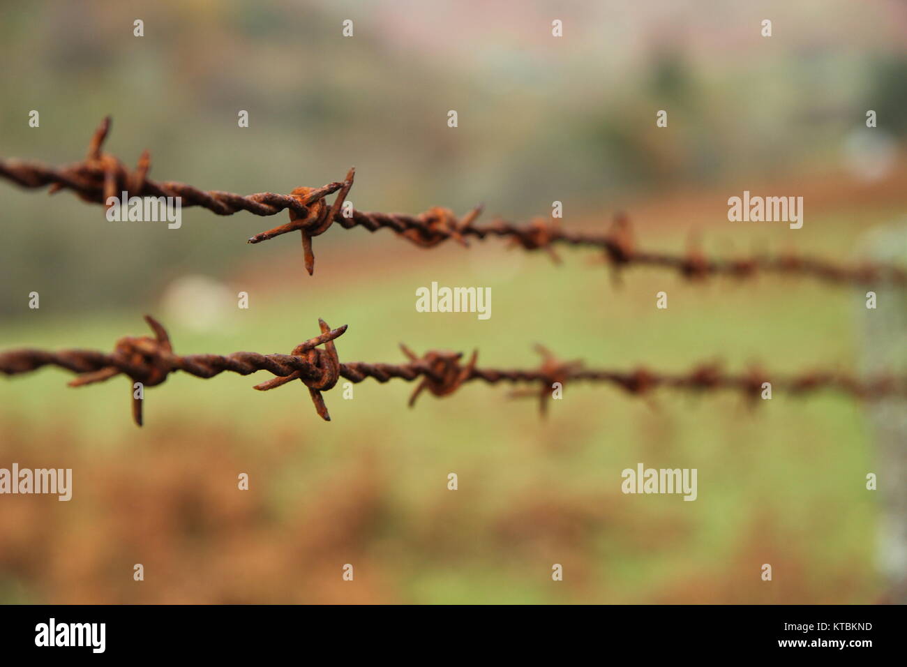 Rusty barbed wire fence Stock Photo - Alamy