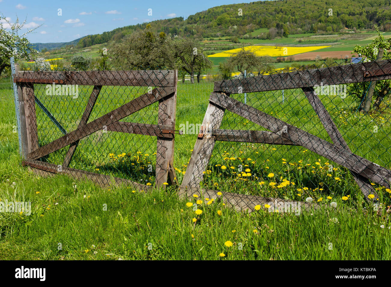 Halb offenes gatter auf einer Frühlingswiese Stock Photo - Alamy